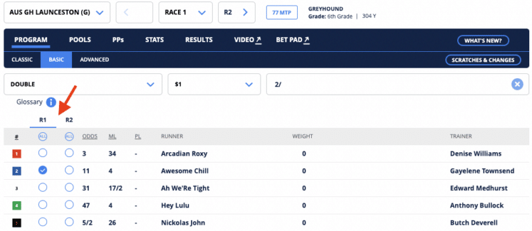 Daily Double Horse Racing Bet (What It Is And How It Works)